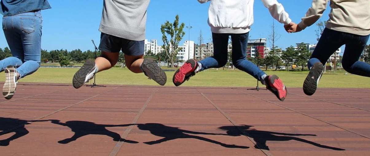 Shadow Play - Institute for School Partnership