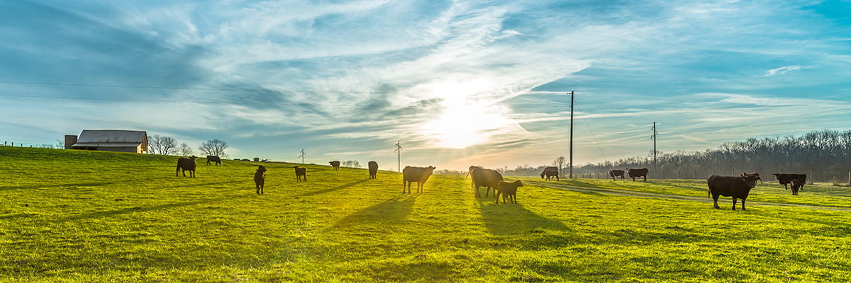 mySci Unit Awarded Design Badge from Next Generation Science Standards - Institute for School ...